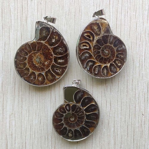 Natural Ammonite Snail Shell Healing Stone Pendants for Necklaces ...