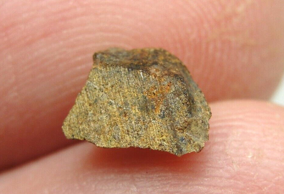 NWA 10216 Official LL6-S2 Meteorite - G598-0046 - 0.23g w/COA - Rare ...