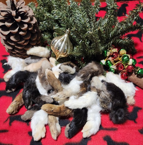 Bulk -Rabbit front paws -50 count | eBay