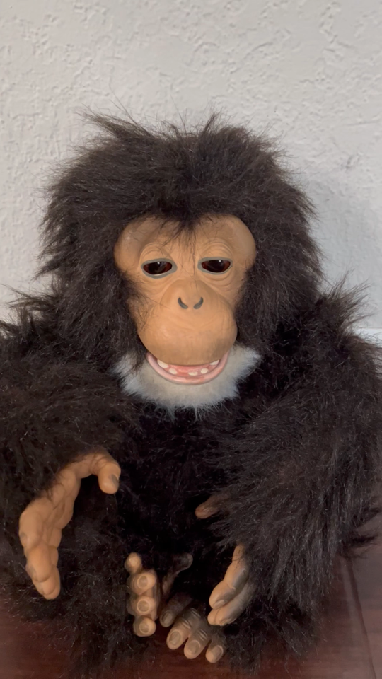 Fur Real Cuddle Chimp 2005 Tiger Electronics Hasbro Animated Plush | eBay