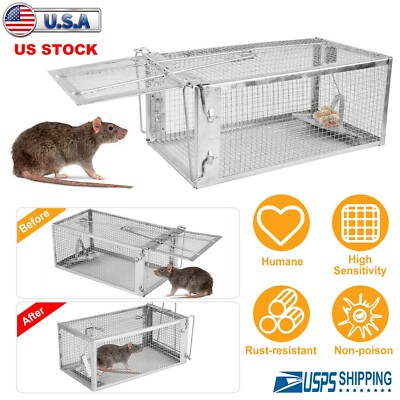 Live Humane Cage Trap for squirrel chipmunk mice rodent No Kill small ...