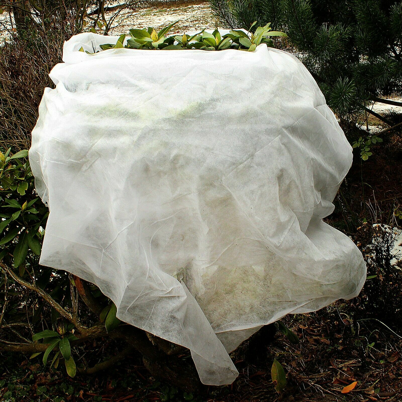 Frost Fleece Plant Protection Garden Cover Horticultural Protective ...