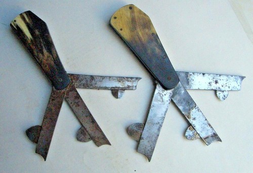 2 x antique early 1800s Fleam veterinary bloodletting tools with bovine ...