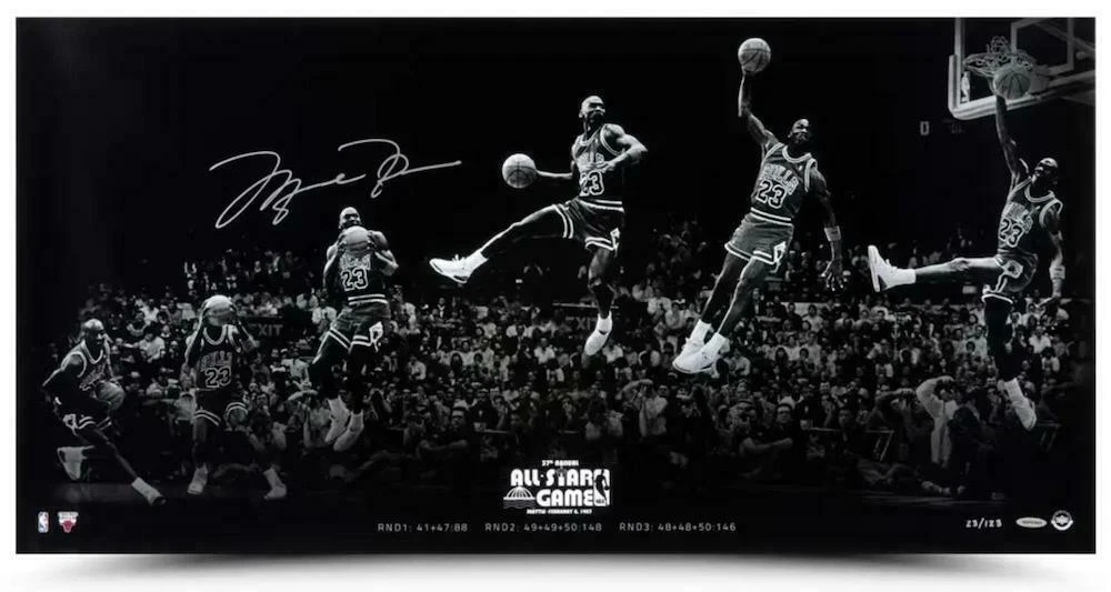 Michael Jordan Signature Dunk Black And White