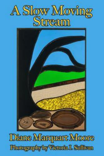 A Slow Moving Stream by Diane Marquart Moore (2016, Trade Paperback ...