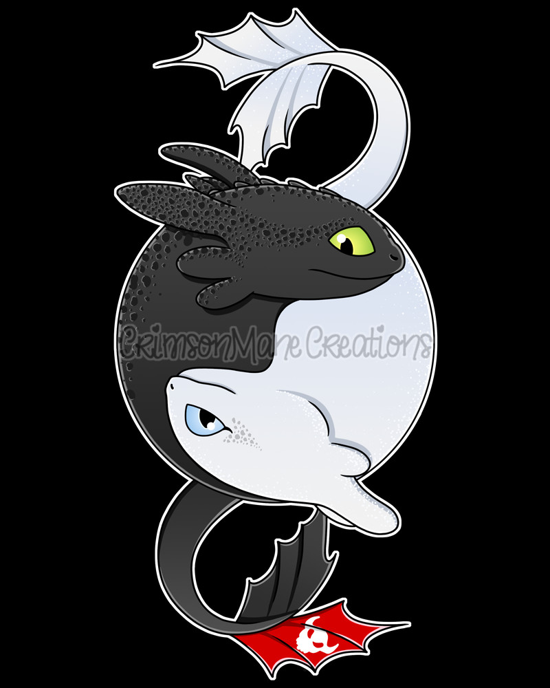 Black And White Night Fury