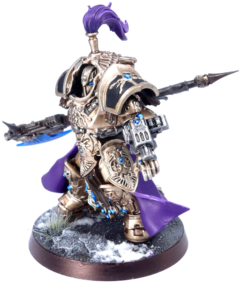 Warhammer 40K Adeptus Custodes Allarus Custodians Terminators | eBay