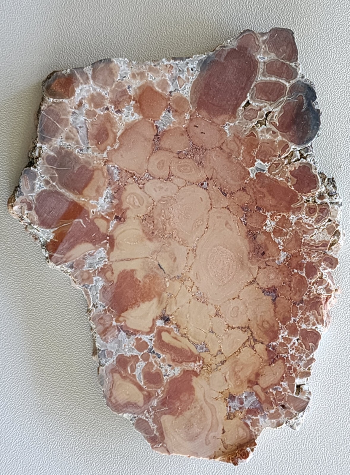 Silicified Hydrothermal Rock Of Some Sort Lapidary Slab 145 grams | eBay