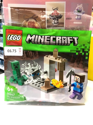 LEGO Minecraft The Dripstone Cavern 30647 | eBay