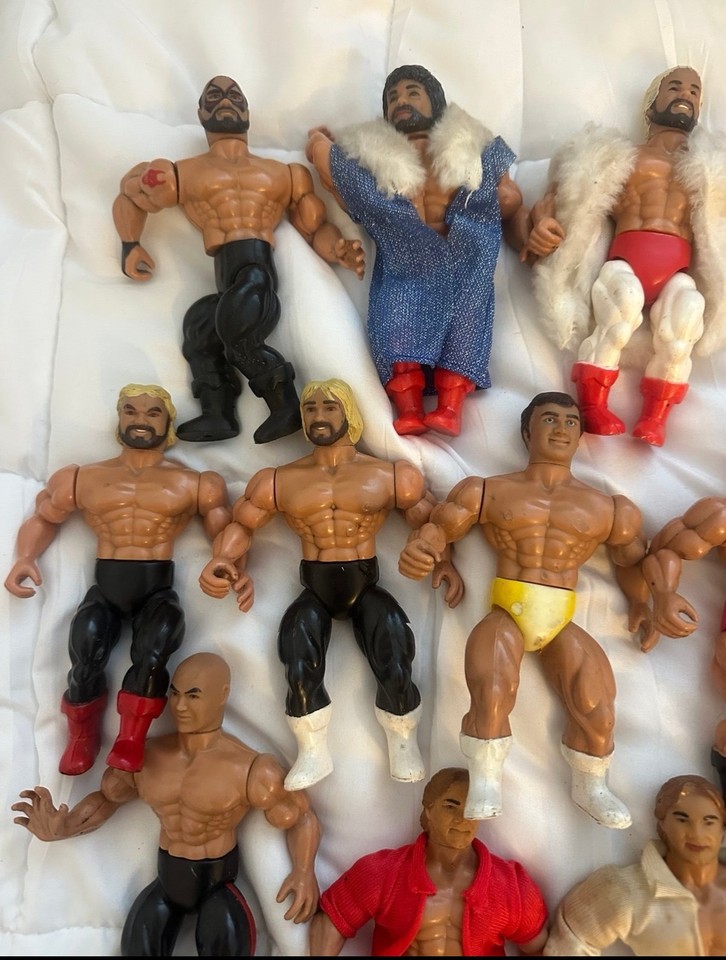 AWA REMCO WWF WWE Wrestling Action Figures Lot 14 figures, accessories ...