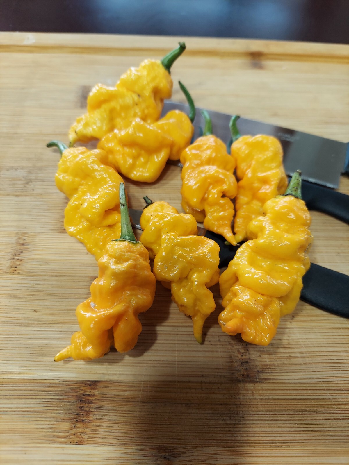 T-Rex Yellow Pepper Seeds (10+) | eBay