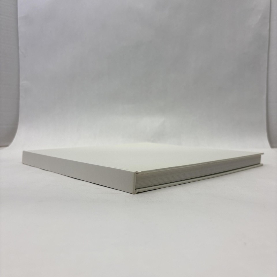 Brenda Richardson / BRICE MARDEN COLD MOUNTAIN 1992 | eBay