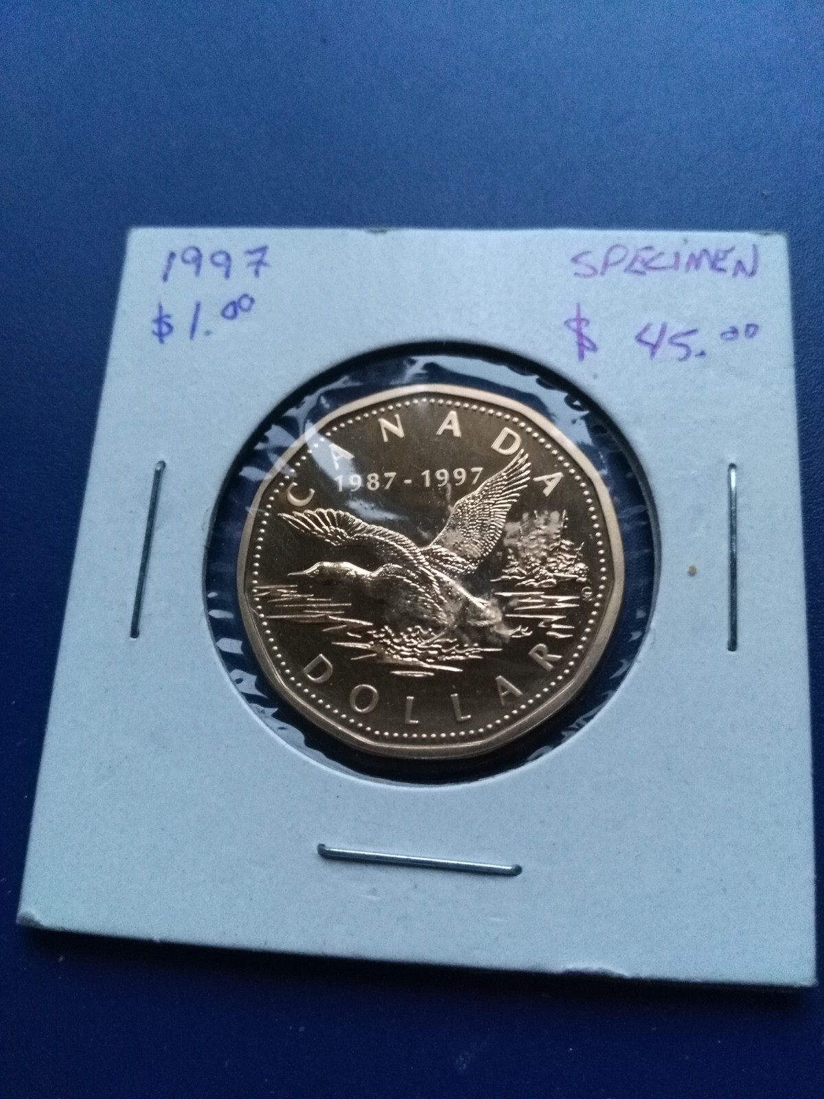 1997 Canadian UNC Specimen Flying Goose Loonie ($1), No Reserve! (Lot ...