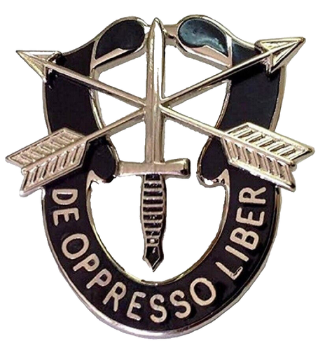 US Army Special Forces Sfg Unit Crest Uniform Badge Pin de Oppresso ...