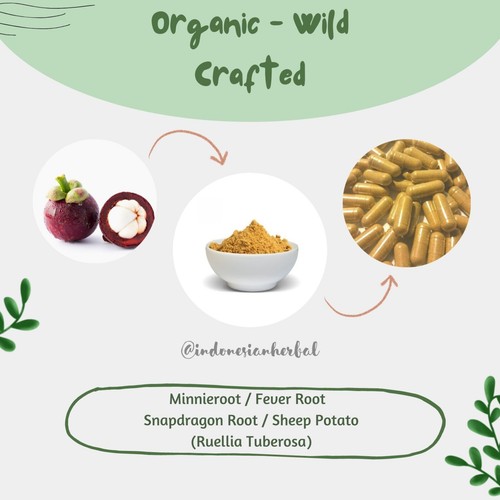 Powder & Capsules Mangosteen Rind Mangustan Garcinia Mangostana ...