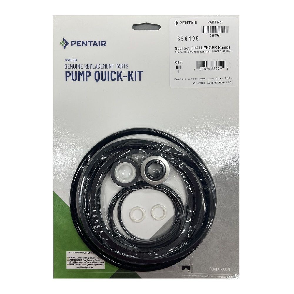 Pentair Pump Seal Kit for Challenger Pump Replacement Pool Part 356199 ...