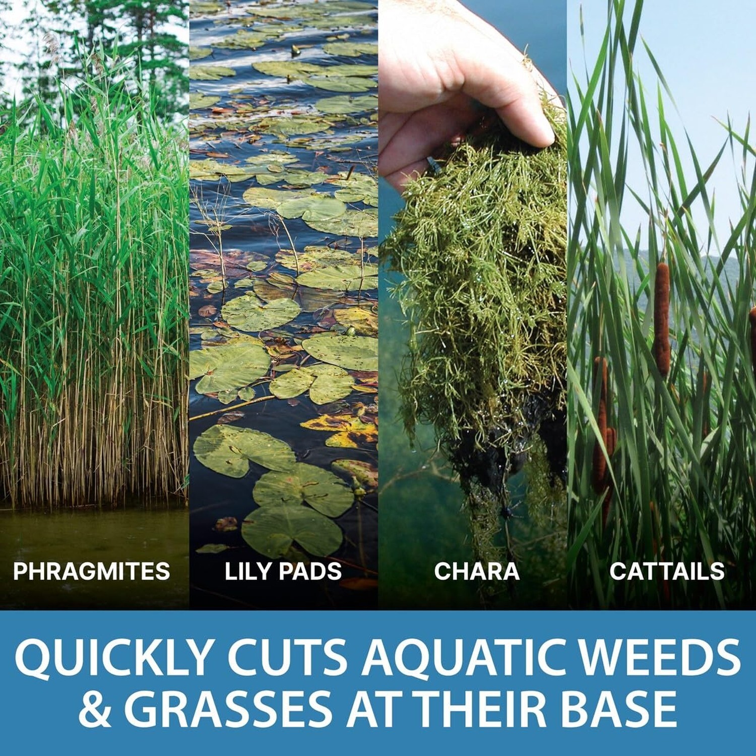 Jenlis Weed Razer Express, Lake Weed Cutter, Compact Aquatic Pond Plant ...