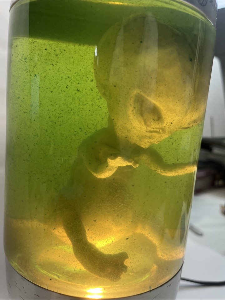 Xemu Xeno Preserved Alien Embryo Lamp 2001 Spencer Gifts, Vintage | eBay