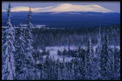 680080 Winter Scene In Olostunturi A4 Photo Print | eBay UK