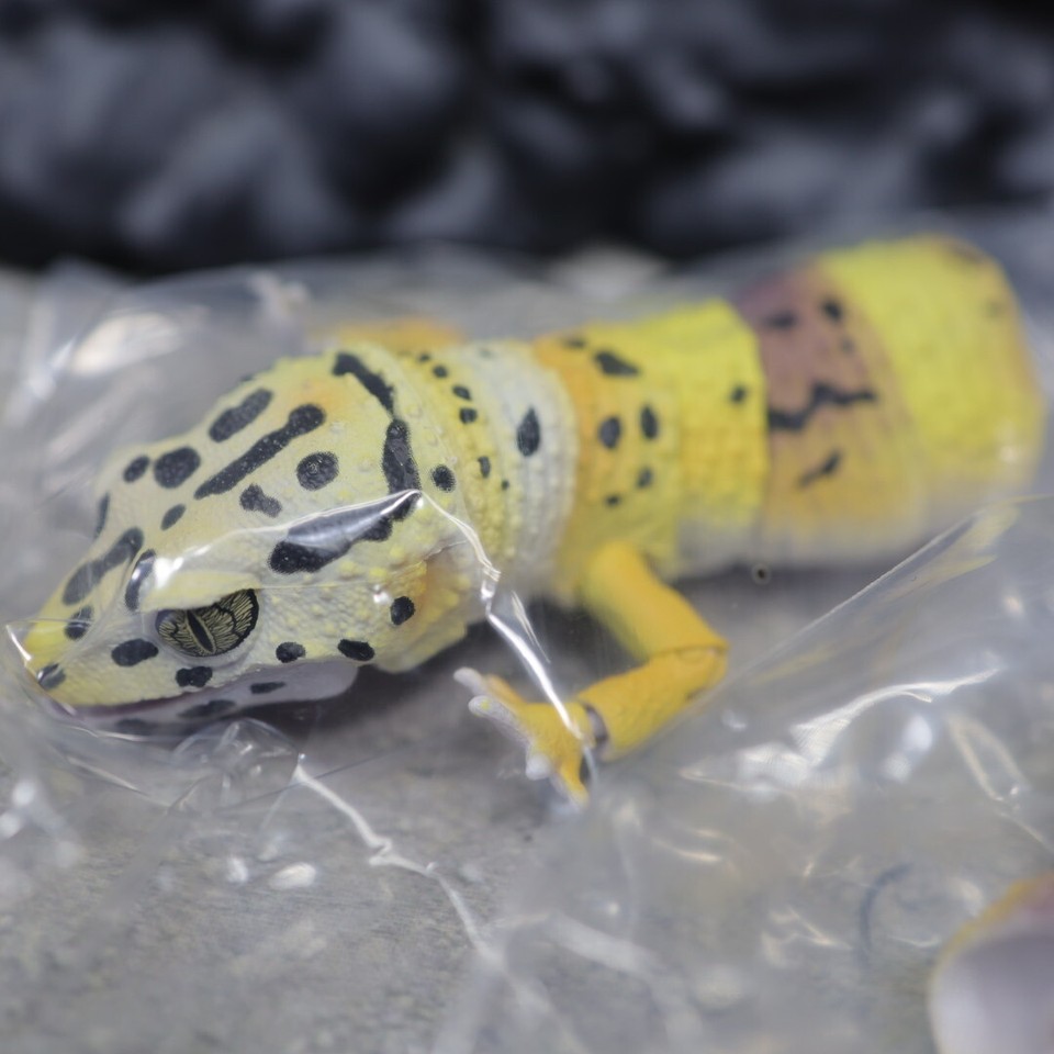 Bandai Gashapon Gecko SELECTED EDITON Action Figure Armadillo Lizard ...