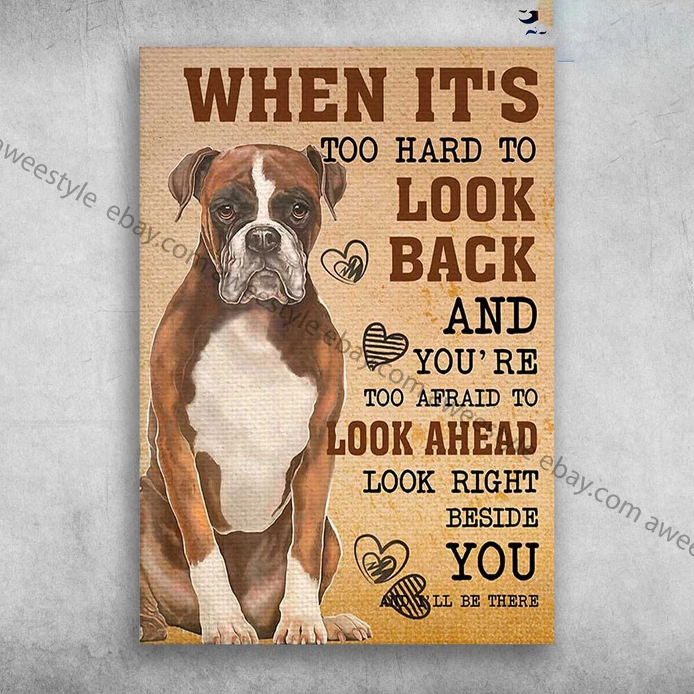 How Do You Look After A Dog Leaflet