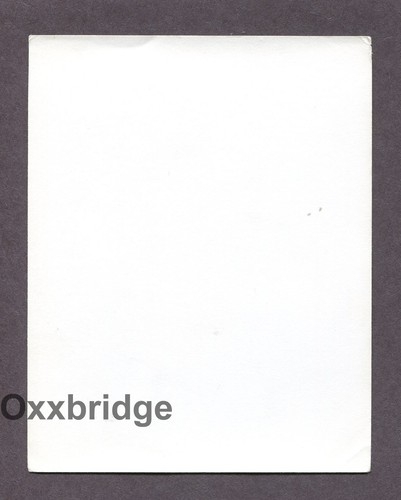 Busty Brunette Big Breasts Chest Undressing 1950 Original Nude Pinup ...