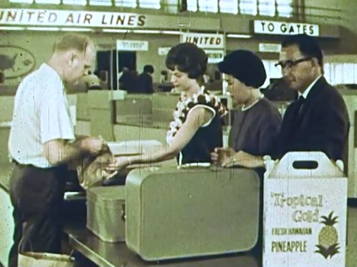 Quarantine Border Harbor Patrol U.S. Customs Service Vintage 1950s ...