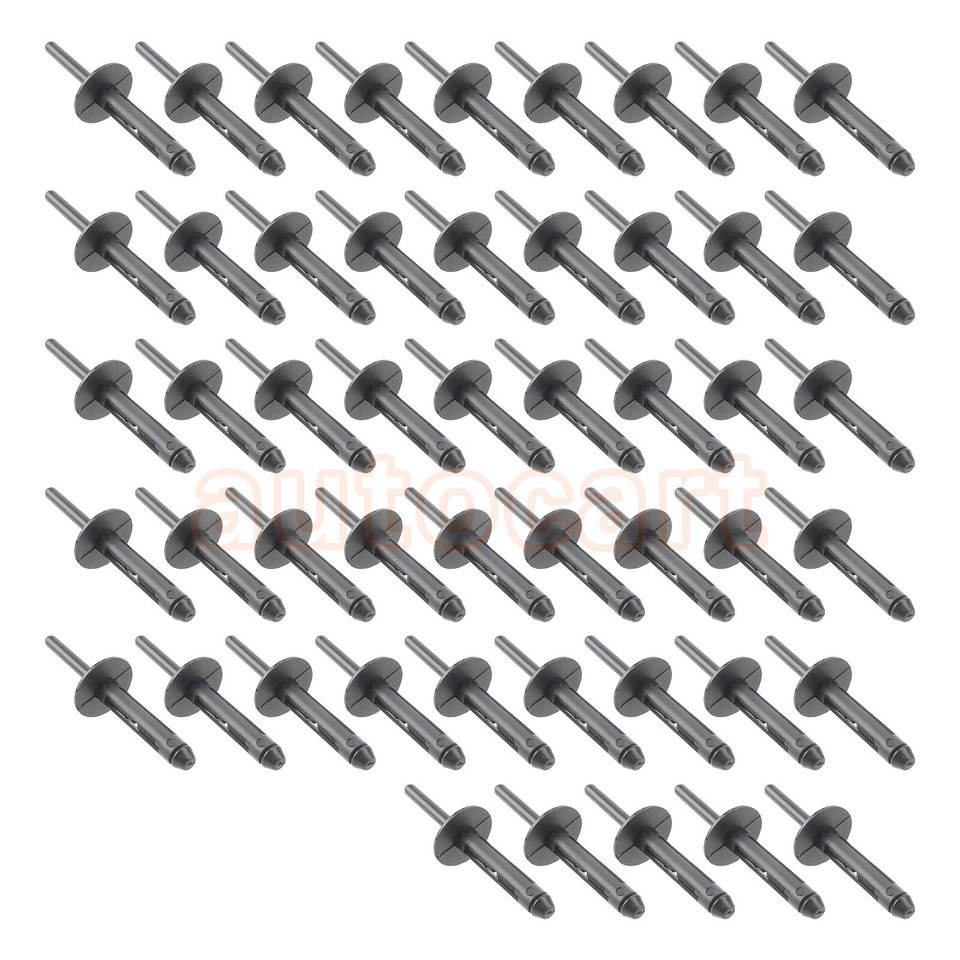 50x Black Nylon Blind Rivets 1/4" For GM 14063981 Ford N803043S ...