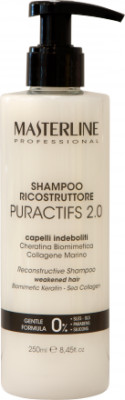 Masterline Pro Shampoo Puractifs 100ml | eBay