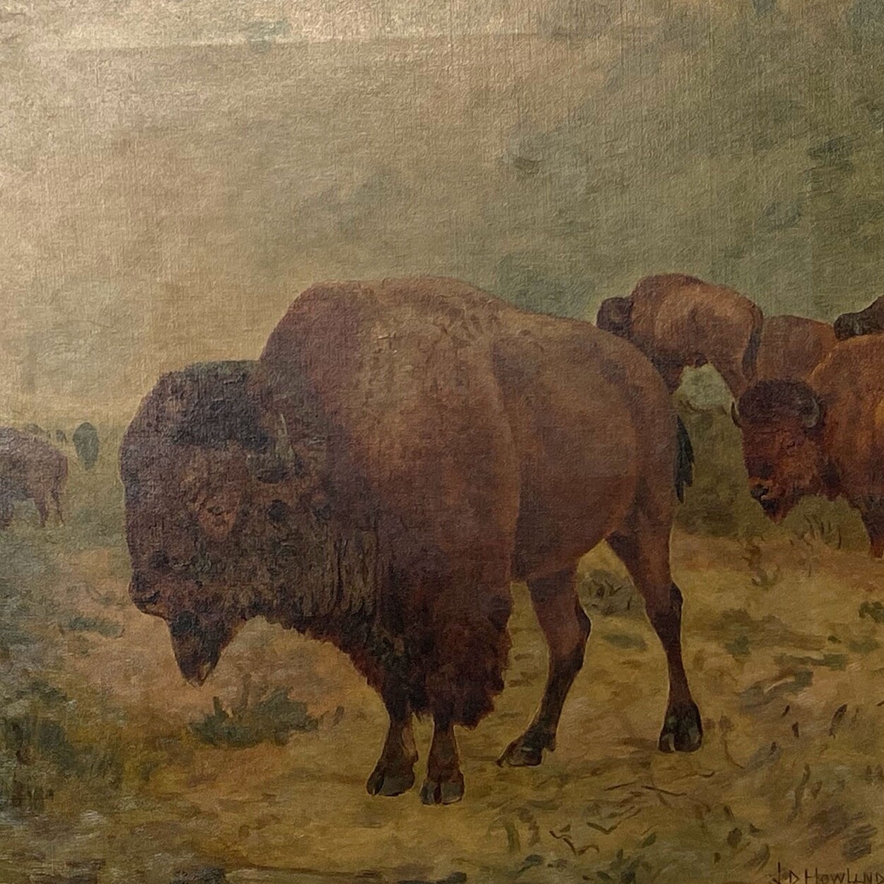 Antique JOHN (JACK) DARE HOWLAND Oil Painting, Buffalo/Bison Herd 19th ...