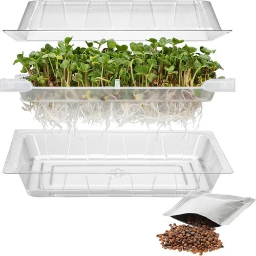Make Your Own Seed Sprouter