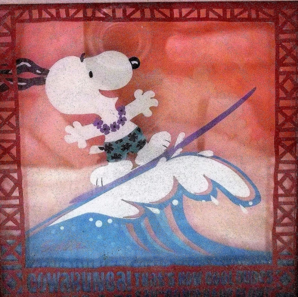 Snoopy Framed Shadow Box Cowabunga! That's How Cool Dudes Say "Go With ...