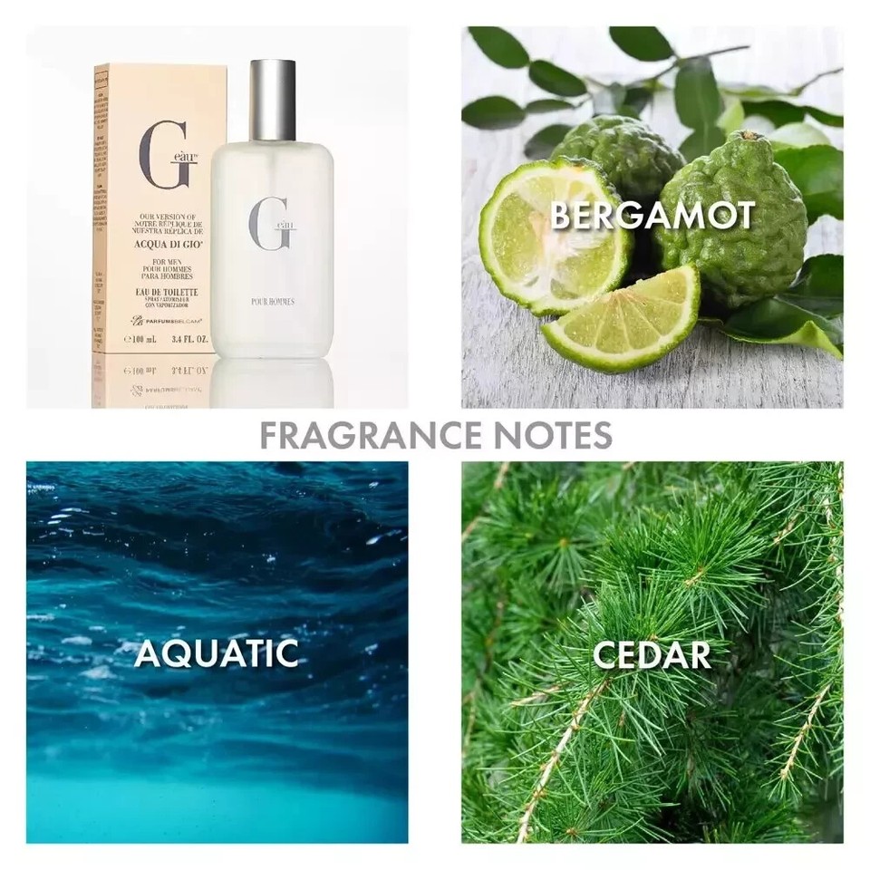 PB Parfumsbelcam Geau Version of Acqua Di Gio, Eau De Toilette Spray, 3 ...