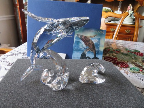 Swarovski Paikea Gobba Balena 2012 Annual Edizione #1095228 | eBay