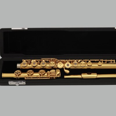 17 key open hole b foot flute with box rose gold plated flute french | eBay