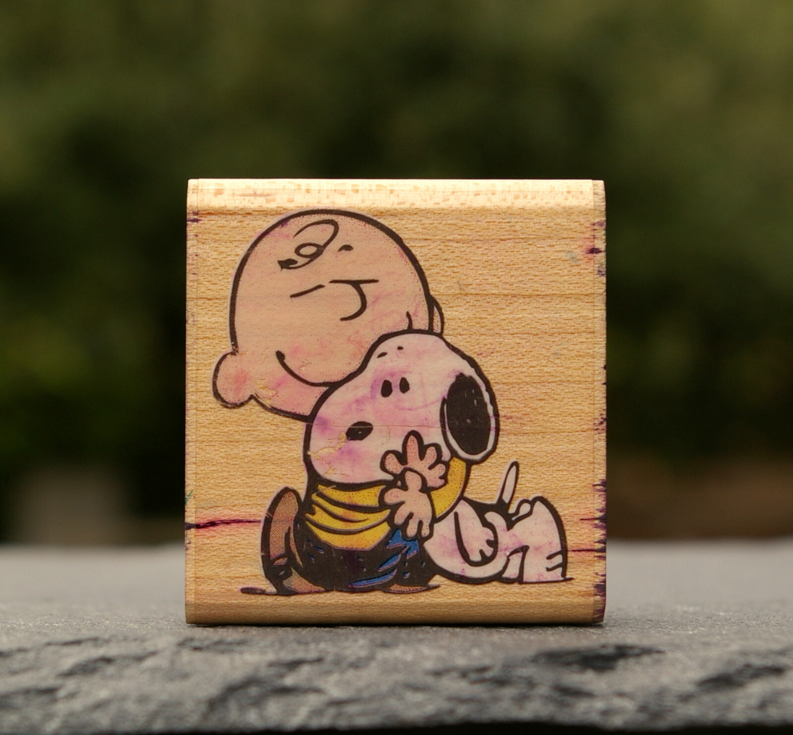 Snoopy And Charlie Brown Best Friends