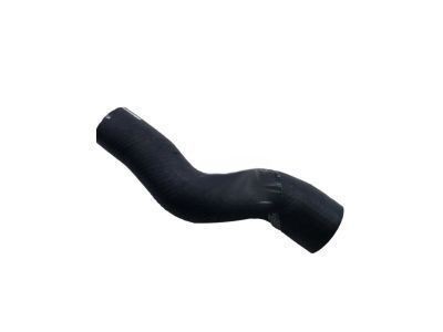 Genuine Engine Coolant Lower Hose Land Cruiser 4.5L Lexus LX450 16573 ...