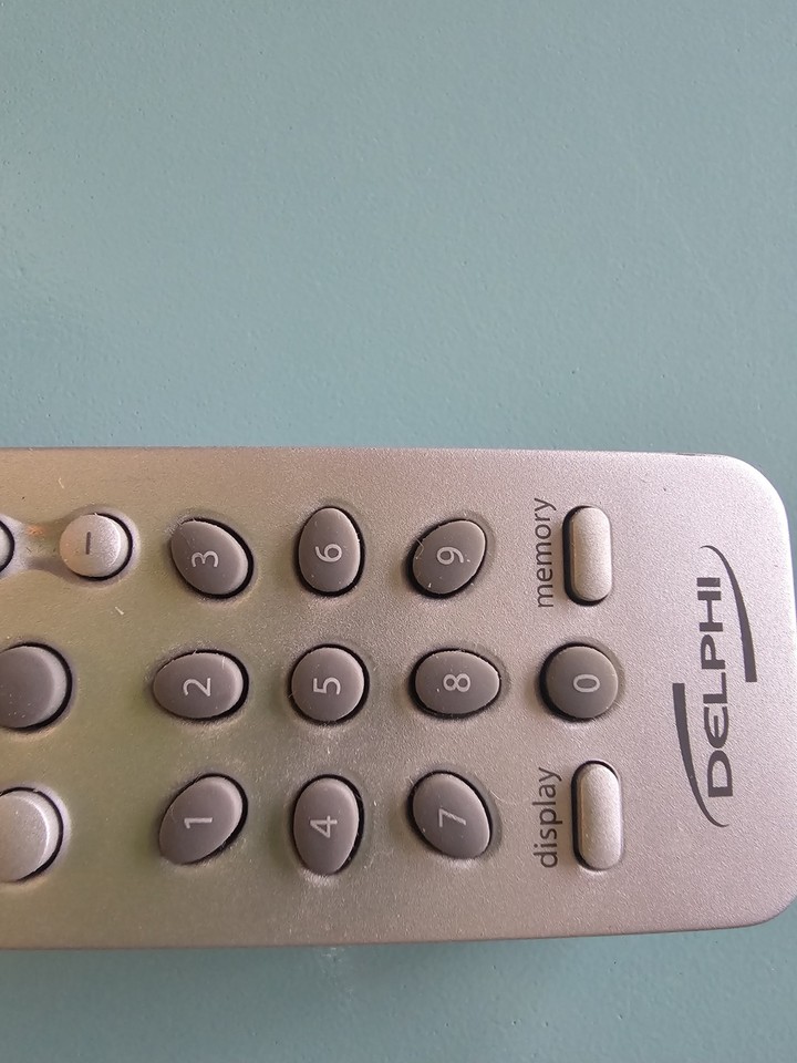 Delphi XM Skyfi 2 Satellite Radio Remote Controller Only Tested | eBay