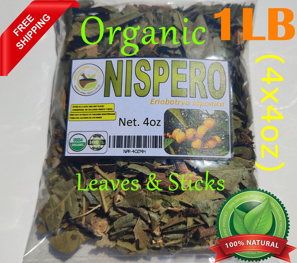 Nispero Morena Sapodilla Nispero Tree Grafted – Everglades Farm