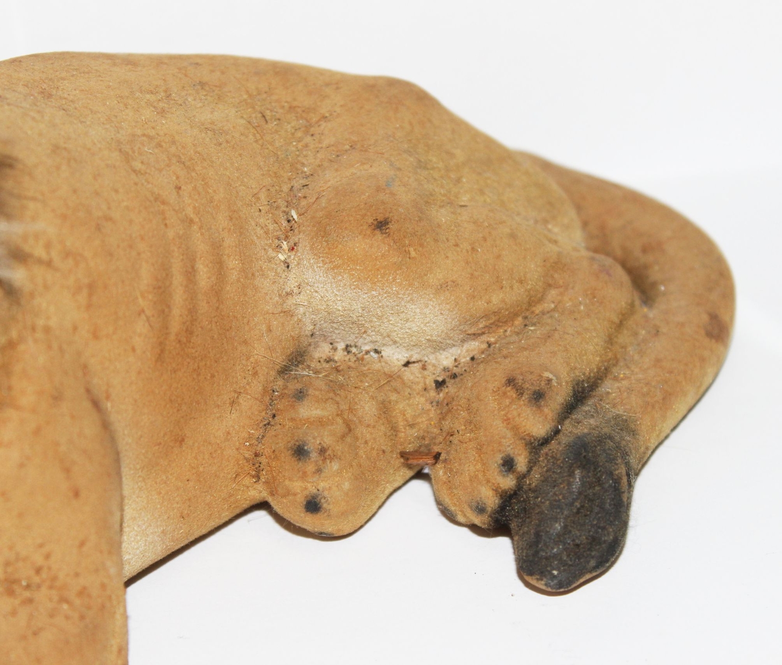 Vintage Antique Bobblehead Nodder Toy Lion Cat Wild Animal Home Decor ...