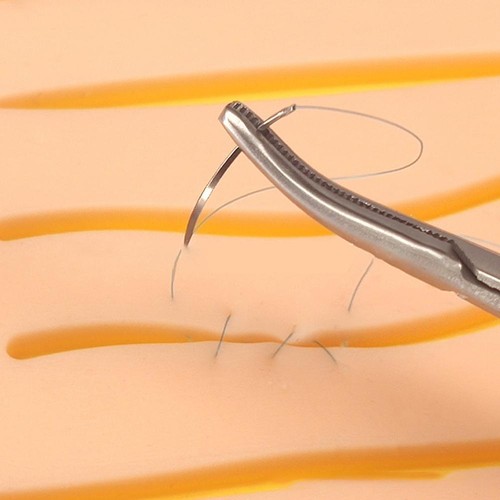 75cm Medical Needle Nylon Monofilament Thread Suture Practice Kit ...