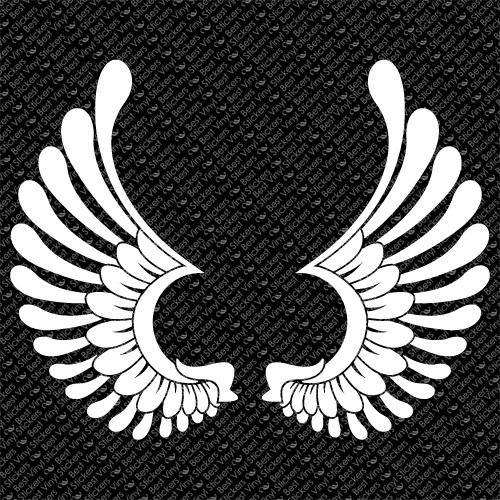 Left Angel Wing Drawing