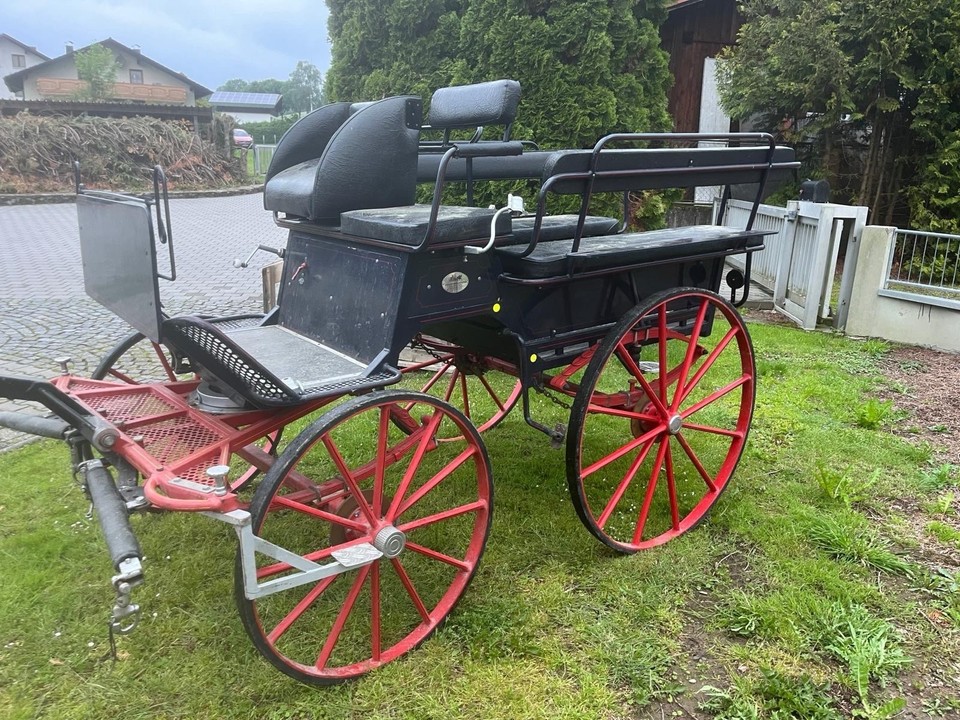 pferdekutsche Gebraucht | eBay.de