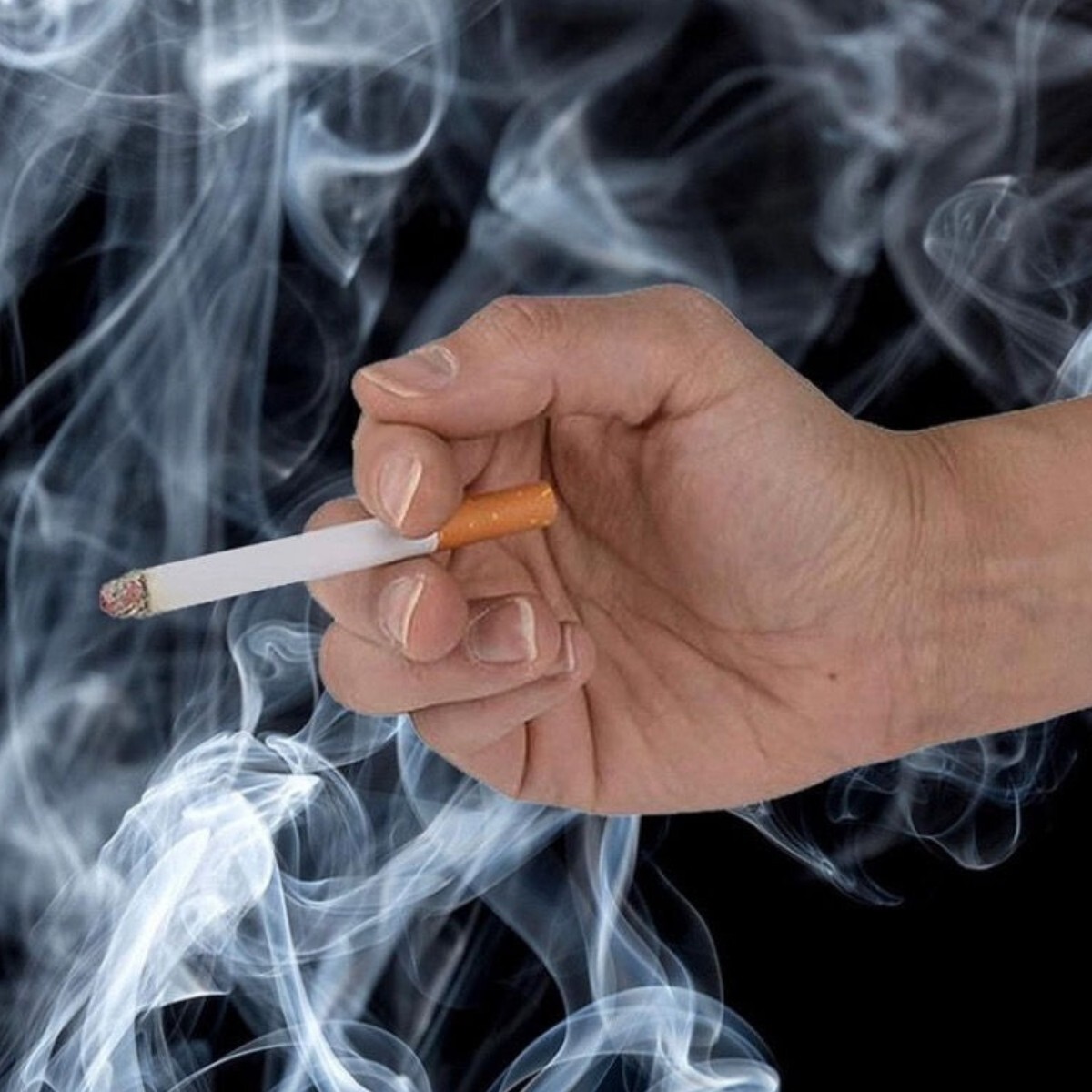 48 Pack Realistic Blow Smoke Fake Puff Cigarettes for Halloween Prank ...