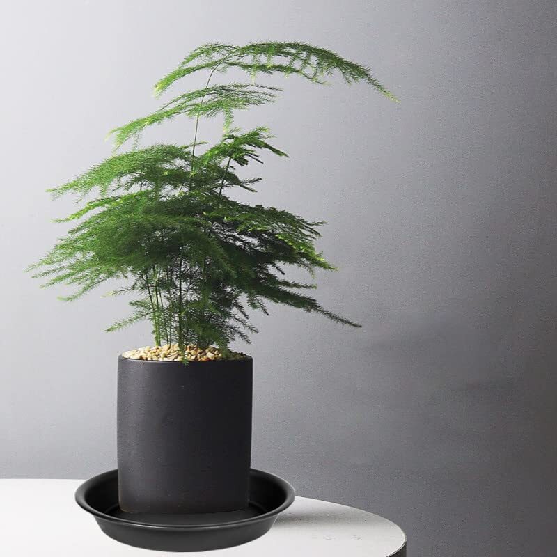 Plant Saucer 6 Inch Drip Trays Black Plastic Tray Saucers Indoor Outdor ...