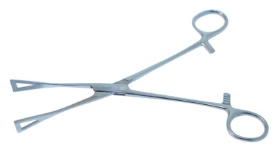BDeals 8" Pennington Forceps – Surgical Body Piercing Instrument ...