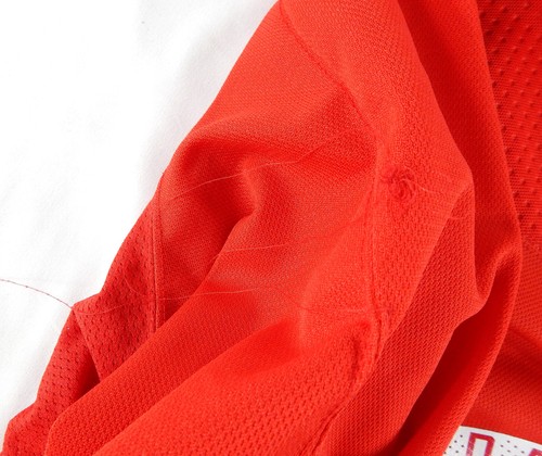 Detroit Red Wings Charlie Forslund #44 Game Used Practice Jersey ...