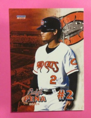 2019 Choice, Carolina Mudcats, Coach - FIDEL PENA - Dominican Republic ...