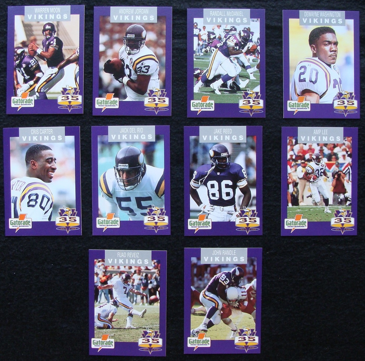 1995 MINNESOTA VIKINGS POLICE CARD SET - CARTER MOON RANDLE REED DEL ...