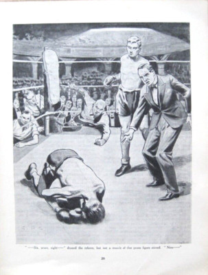 Original Vintage Print 1933 Boxer Counted Out | eBay UK